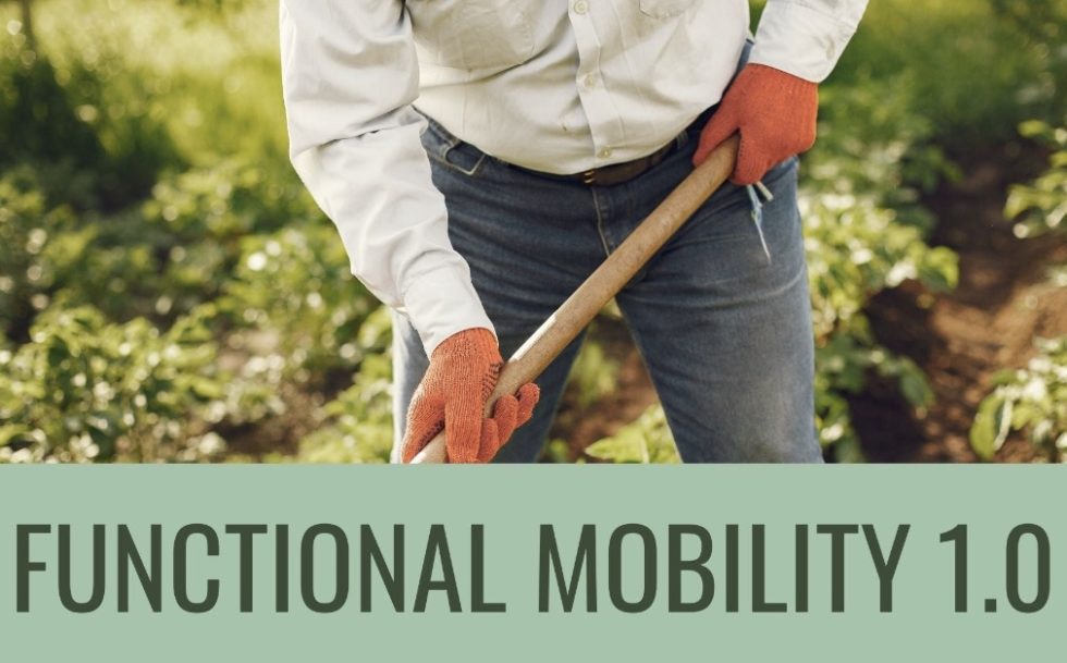 What Is Functional Mobility and How Do You Find It? - Wavemakers ...